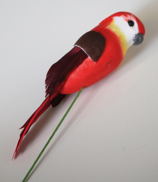 Veren vogels : Veren vogel parkiet rood Mid